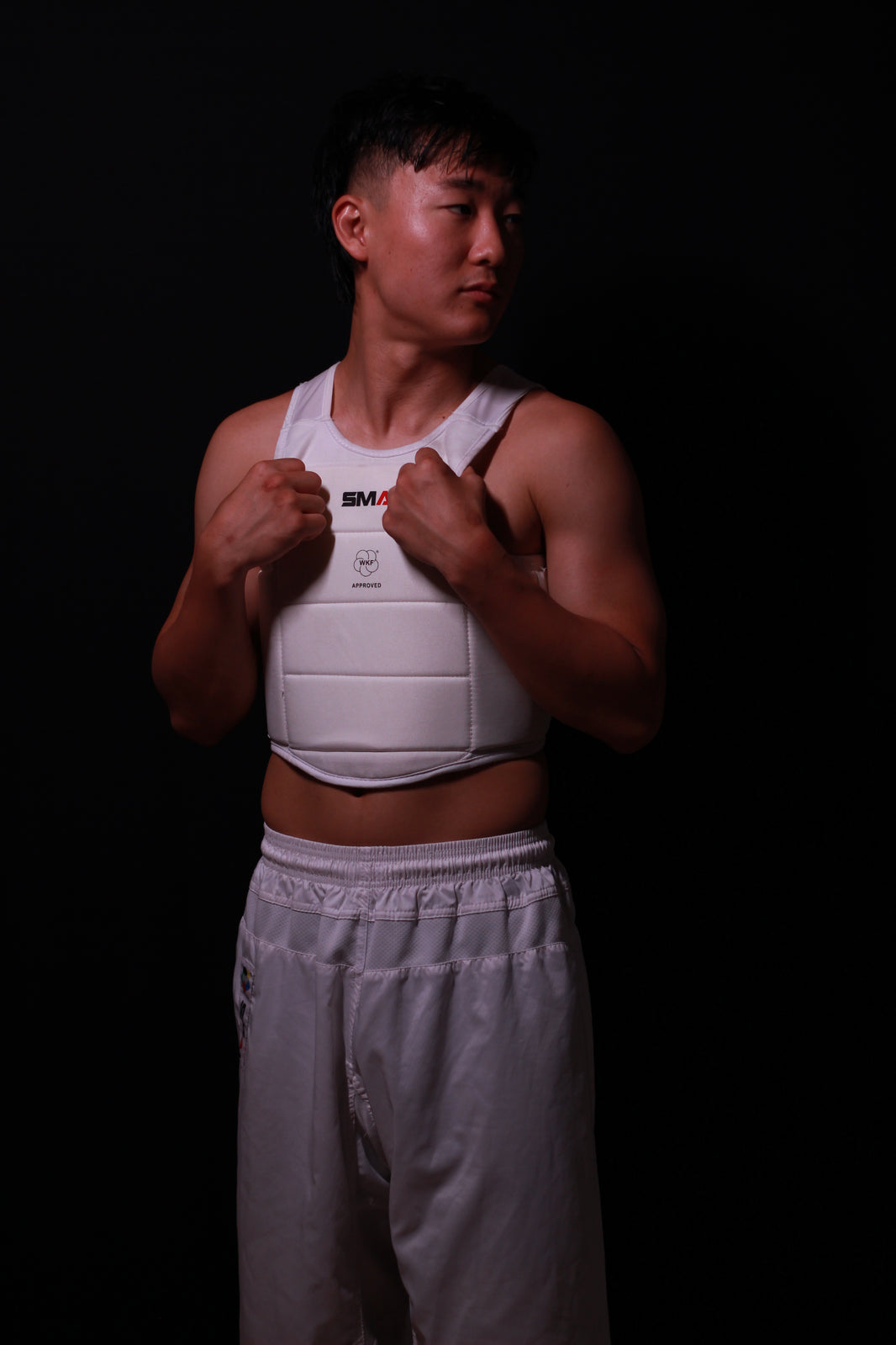 Protección – SMAI Mexico