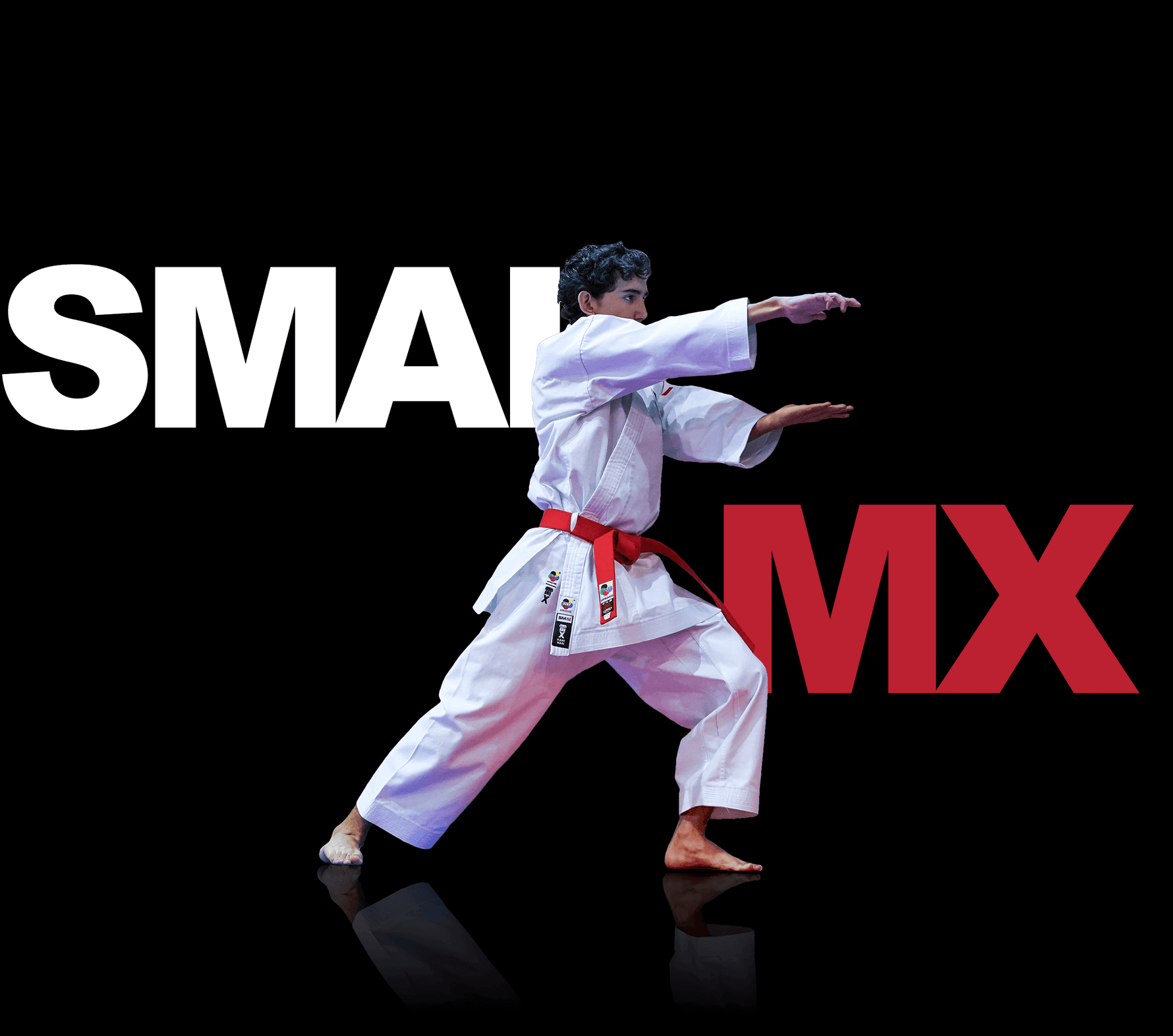 SMAI MÉXICO – SMAI Mexico