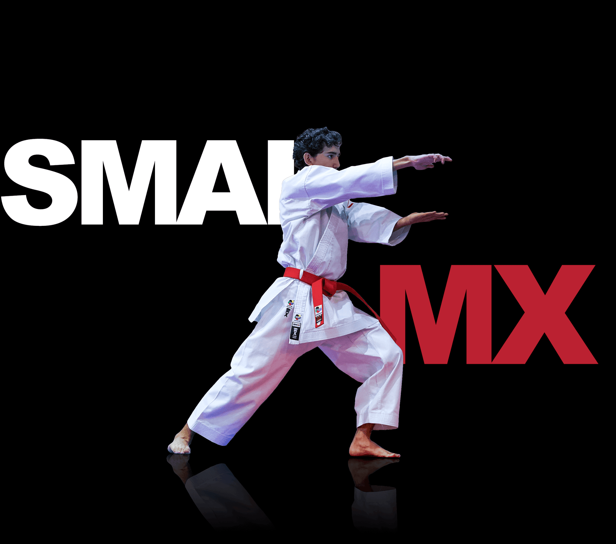 SMAI MÉXICO – SMAI Mexico